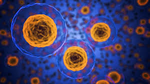 Single-cell | From single cells to tissue systems