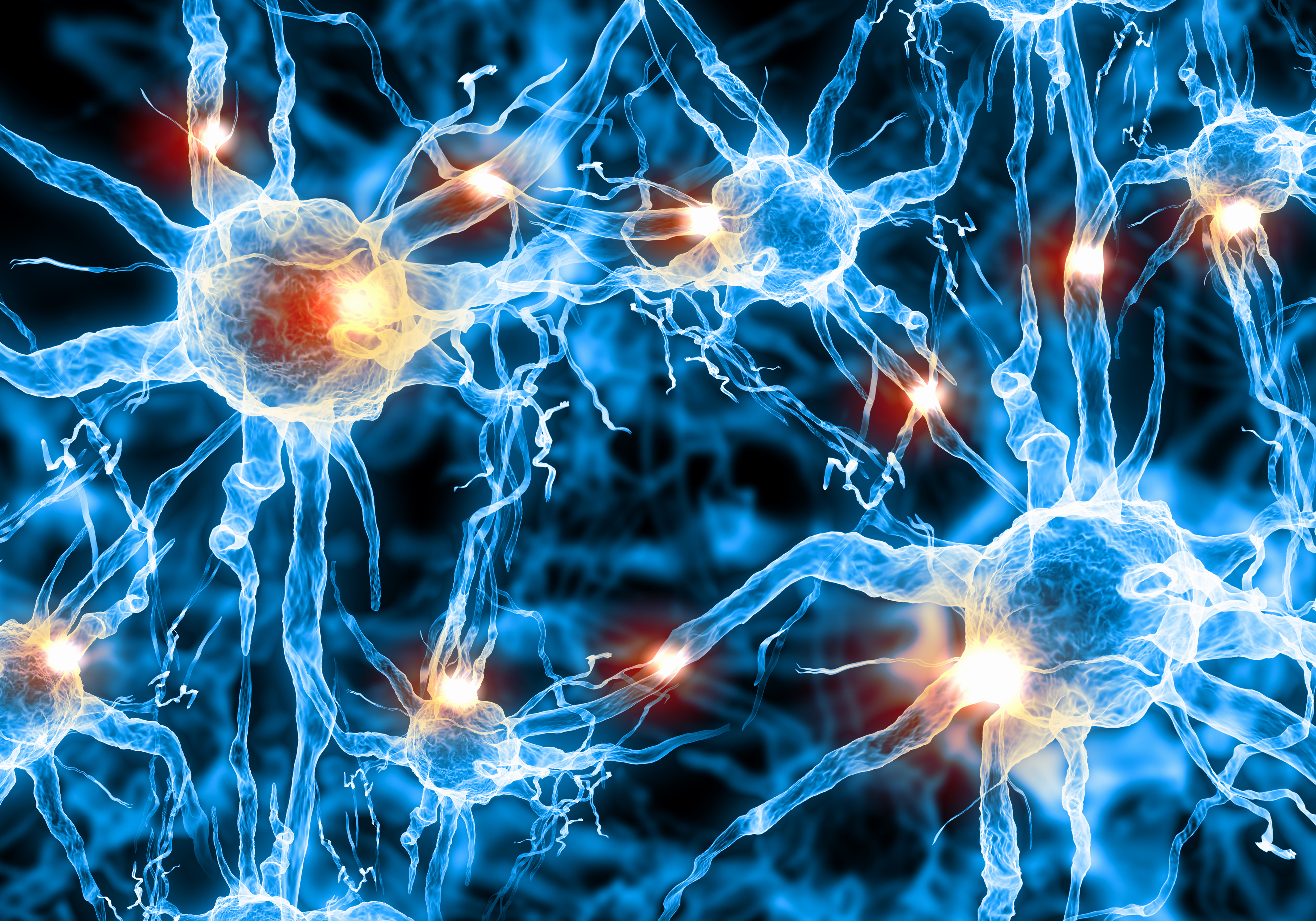 Stem Cells From Single Cells To Tissue Systems